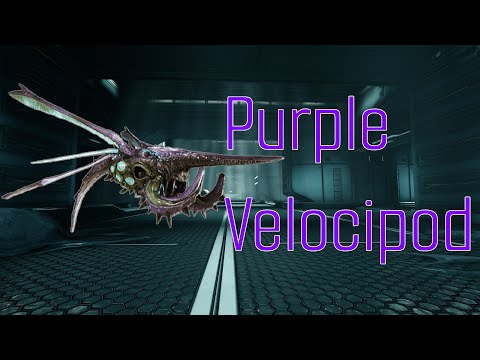Warframe - Simple Purple Velocipod Tag Guide 2023