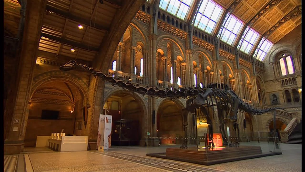 Dippy the Diplodocus comes back to London after 4 year tour  (2) (UK) - BBC London News - 3 Nov 2021