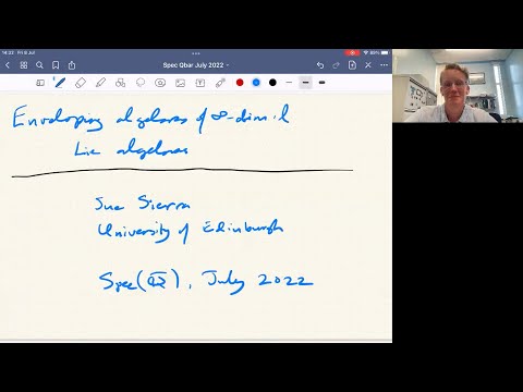Enveloping Algebras of Infinite-Dimensional Lie Algebras