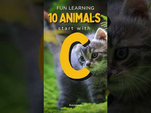 10 Cool Animals Starting with ‘C’! #shorts #lalalikidstv #canimals