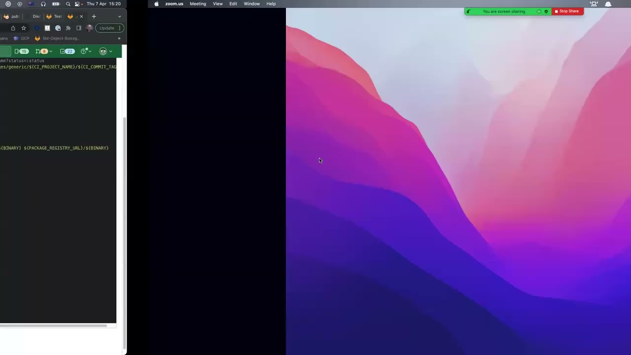 release-cli development environment