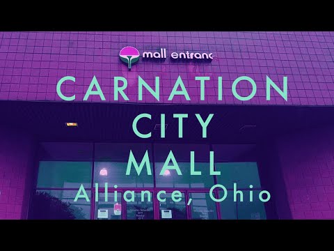 DEAD MALL: Carnation City Mall - Alliance, Ohio