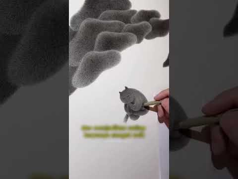 The Most crazy Cat Fur Art Technique