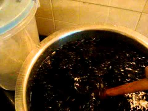 Making seaweed extract at home, step one