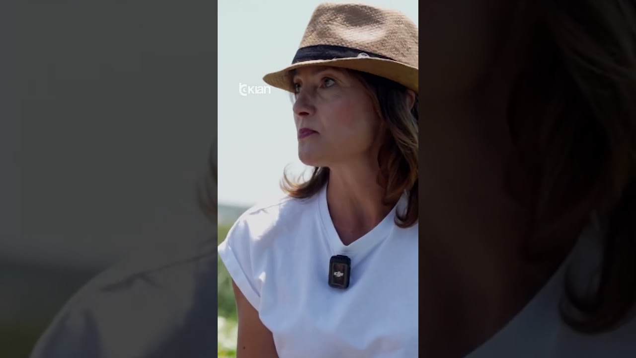 Zona më e mbrojtur e Liqenit të Shkodrës/Pamja e rrallë të dallëndyshes së detit faqebardhë