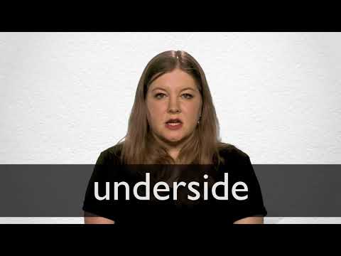UNDERSIDE definition and meaning | Collins English Dictionary