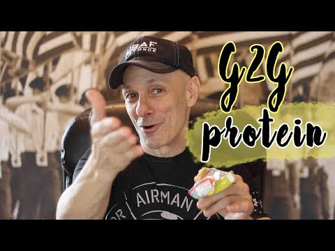G2G Protein Bar - Review Wednesday