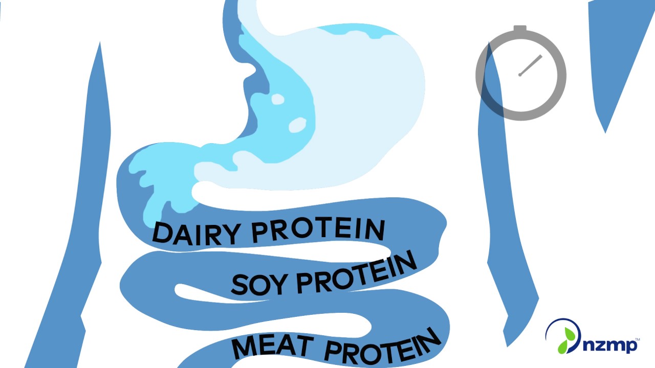 Not all proteins are created equal