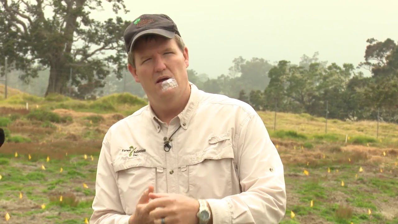 Nicholas Koch: Site Maintenance