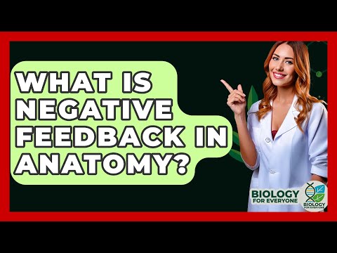 What Is Negative Feedback In Anatomy? - Biology For Everyone