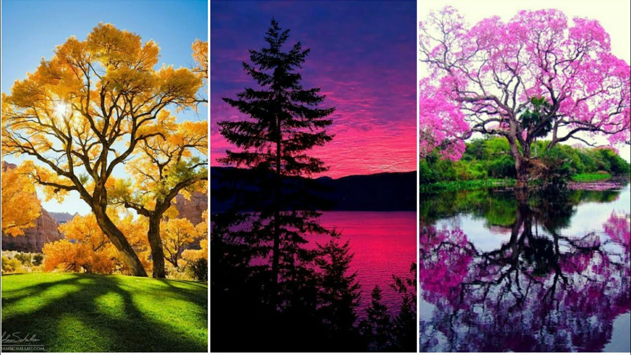 Beautiful Wallpaper images for mobile | Nature Wallpaper | Amazing & Beautiful Mobile wallpaper