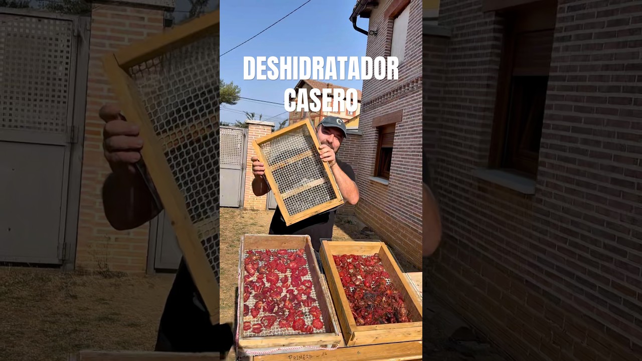 Deshidratador casero para frutas, verduras y hortalizas. En el pueblo lo usamos para ajos y tomates