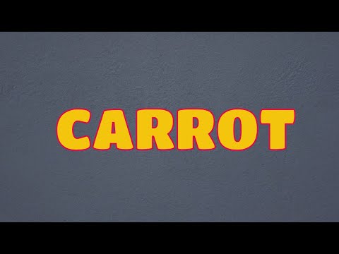 What Does CARROT Means || Meanings And Definitions With Example in ENGLISH CARROT