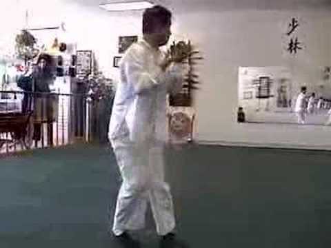 Bagua - Ping Zhen Cheng of NYC