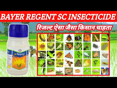 Bayer Insecticides - Latest Price, Dealers & Retailers in India