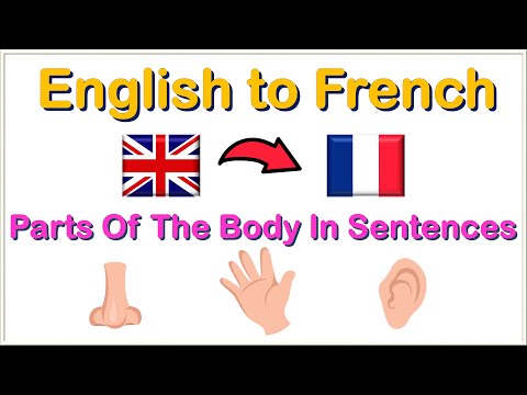 🇫🇷 French for Beginners | 😎 Discover the Parts of the Body