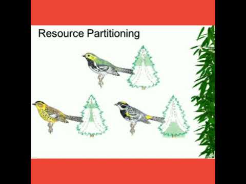 Resource Partitioning, Class-11, EVS
