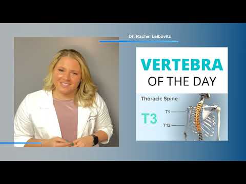 Vertebra of the Day T3