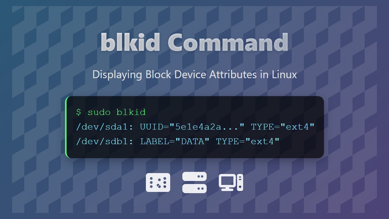 blkid Command in Linux: Display Block Device Attributes (Beginner's Guide)