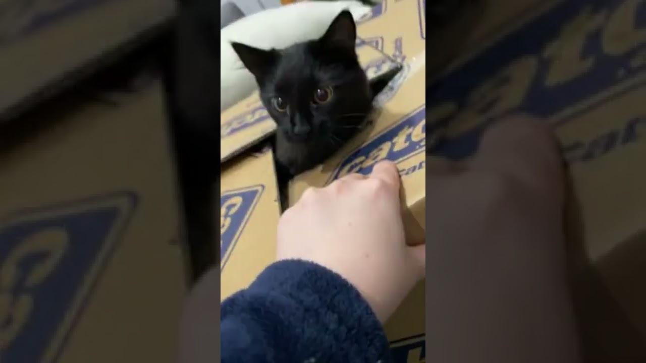 Sorry I touched your box