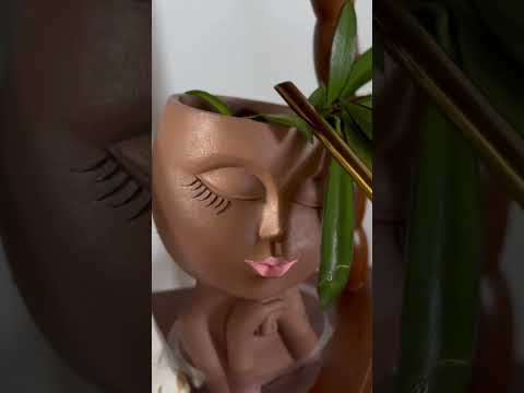 Face Planter Collection As Home Decor