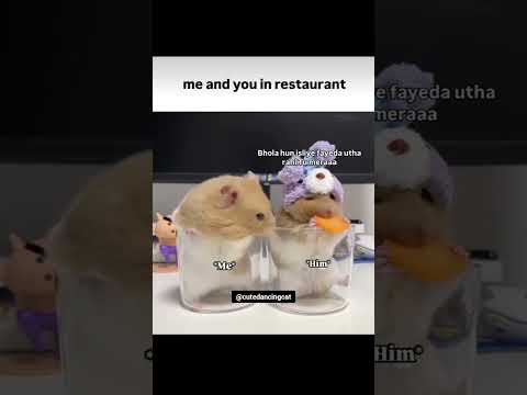 You and Me in restaurant #relatable #funny #meme #couplegoals #memes #funnyvideo #couple #cat #fyp