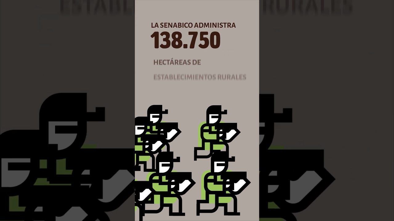 Con la Soja al Cuello 2025