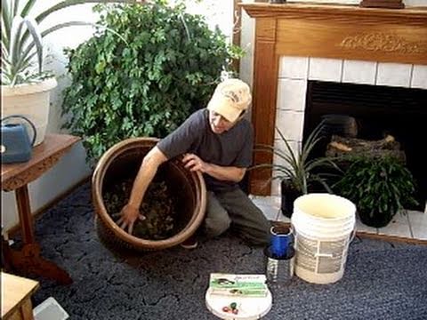 Easy Indoor Composting | Holist Work Group