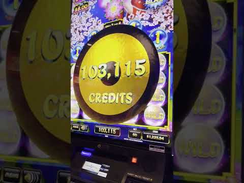 INSANE 2000x WIN! 😱 #shorts