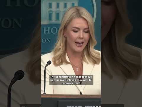 Karoline Leavitt on tariffs