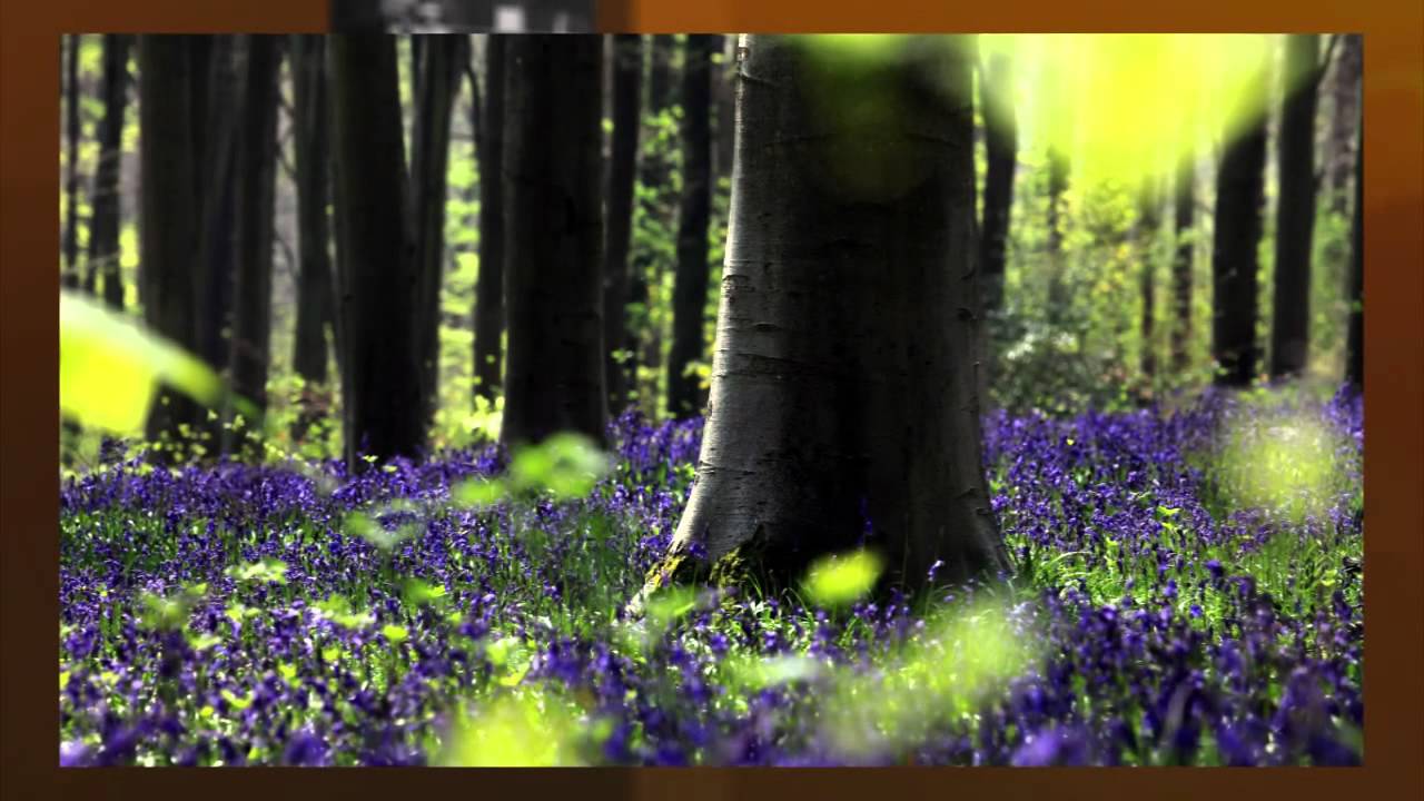 Daylight Saving: Time To Spring Forward