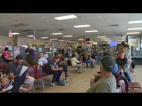 License expiration will be based on issuance date