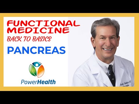 Pancreas - Functional Medicine Back to Basics