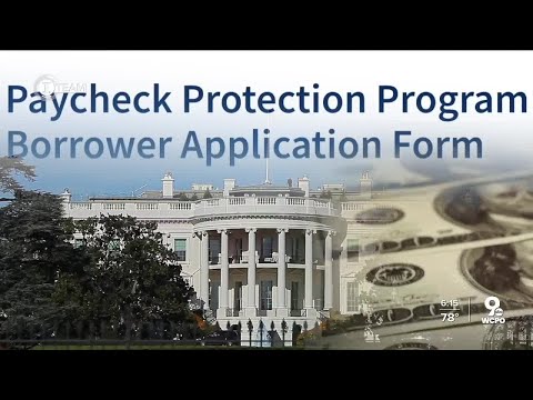 How many paychecks did PPP loans protect?