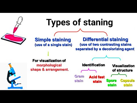 Types of staining || Comman Staning techniques || Part -1
