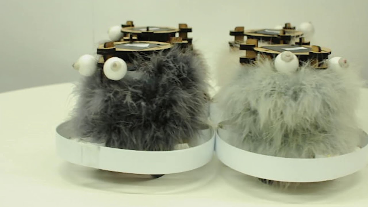 Introbots: understanding introverts through light and darkness