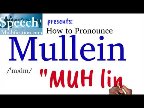How to Pronounce Mullein