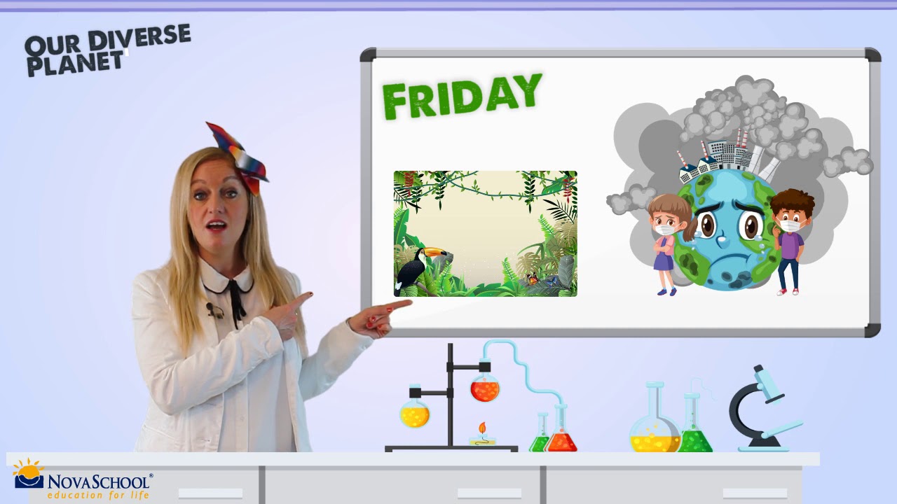 science week - Key Stage 1 - Friday