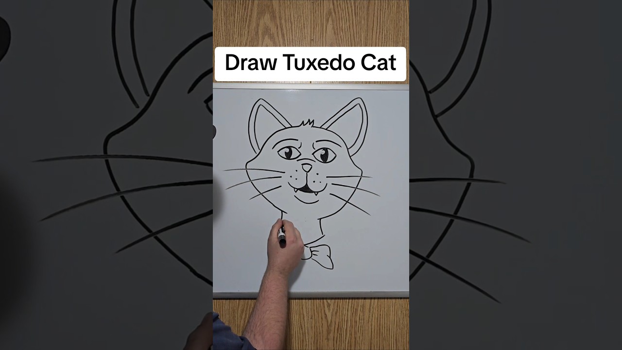 How to draw a tuxedo cat