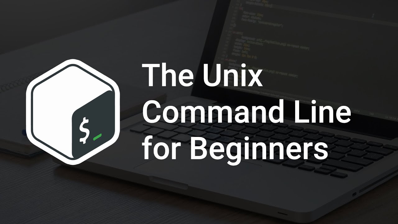 Bash for Beginners | Sequential and Conditional Execution