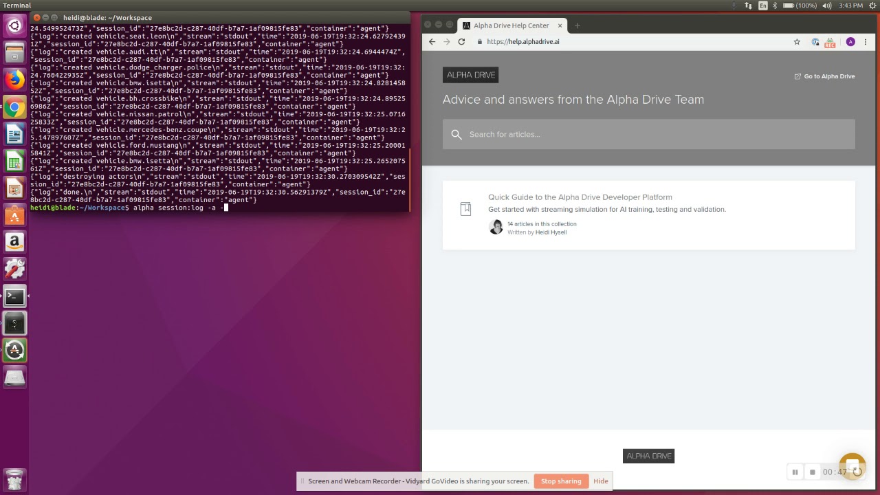 CLI: Cloud Based Simulation Overview - logs