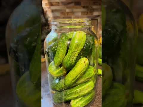 How to make sweet pickles! #canning #preserving #preservingfood #foodstorage #homestead #pickles