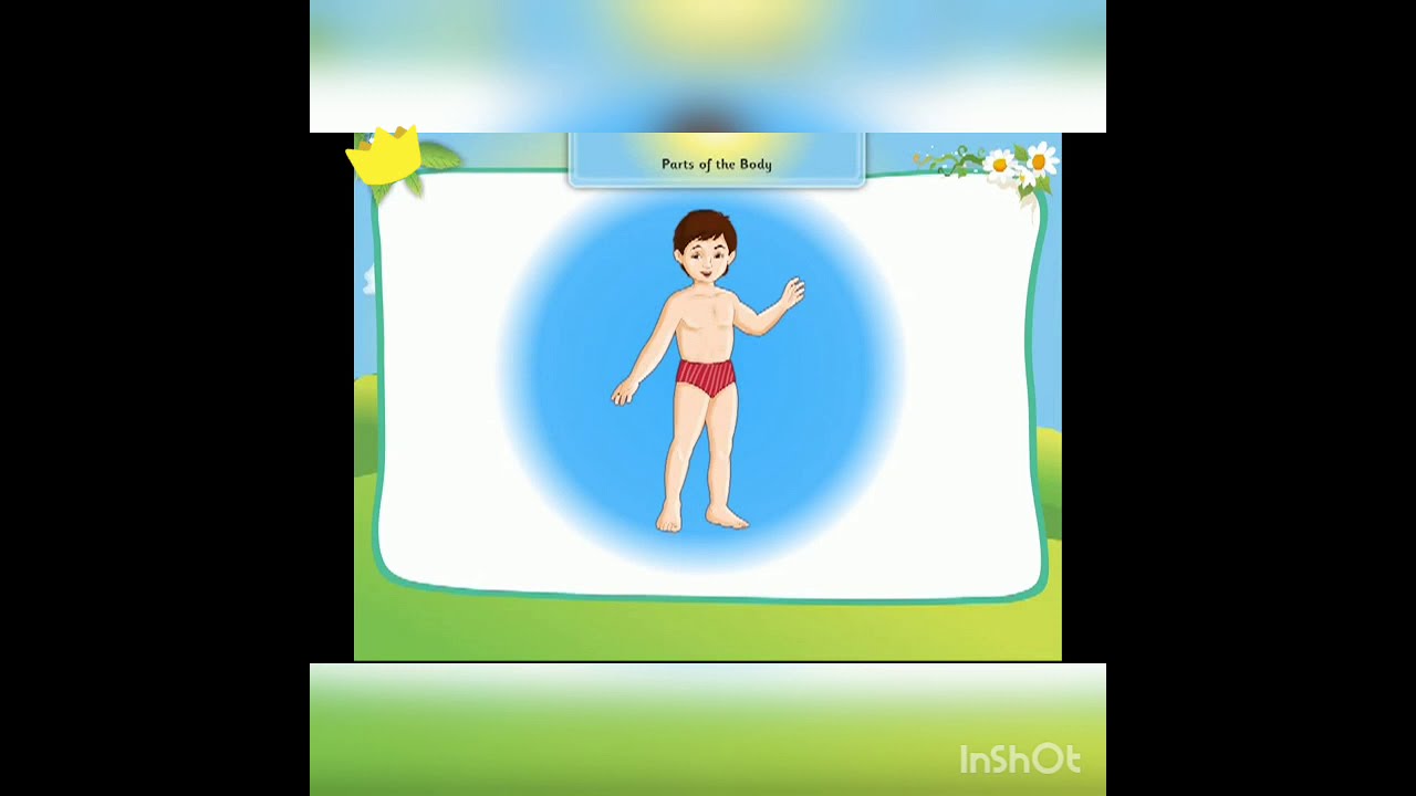 Parts of body demonstration for teachers to teach.