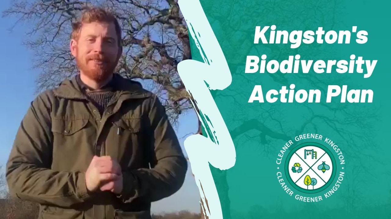 Kingston's Biodiversity Action Plan