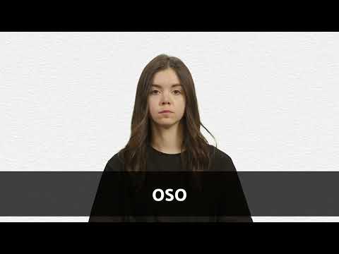 English Translation of “OSO” | Collins Spanish-English Dictionary