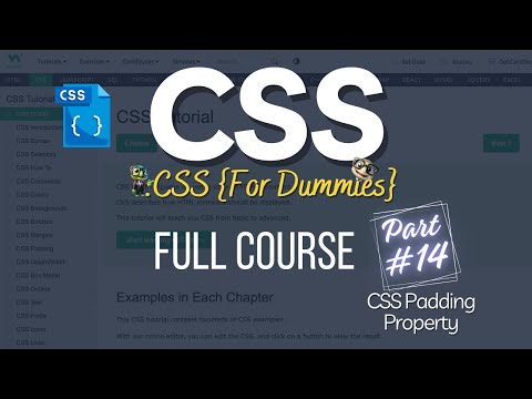 CSS Full Course 14 - Learn to use CSS Padding | CSS Padding Tutorial | CSS W3Schools tutorial