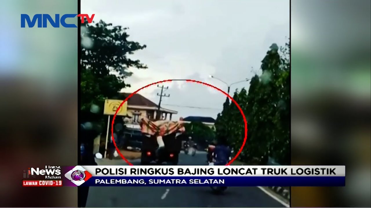 Bajing Loncat di Palembang yang Meresahkan Sopir Truk Berhasil Ditangkap Polisi #LIM 02/08