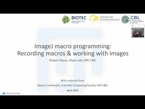 Getting started with ImageJ1 macros - Image Analysis - Image.sc Forum