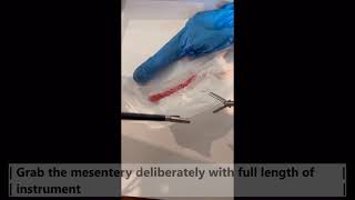 Appendectomy Simulation - Appropedia, the sustainability wiki