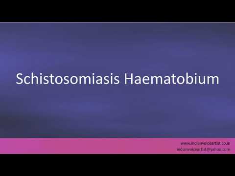 Pronunciation of the word(s) "Schistosomiasis Haematobium".